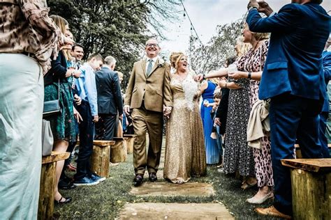 Basset Dog Basset Dog Added A New Photo