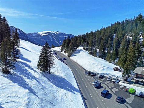 Spring Atmosphere In The Alpine Coniferous Forests And Among The