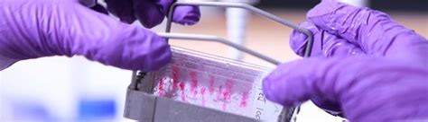 Human Tissue Act Training Human Tissue Act Training