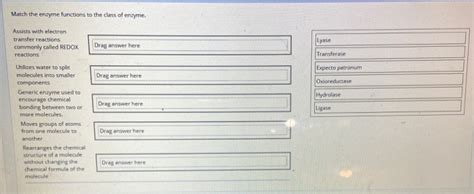 solved match the enzyme functions to the class of enzyme