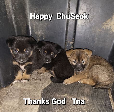 유진 생각 나눔 1개월이 채 흐르지 않았다 4월 27일 남북정상회담의 역사적 현장을 세계에 타전하기 위해 900여명 가까운 세계의 기자들은 킨텍스 프레스센터에 모여