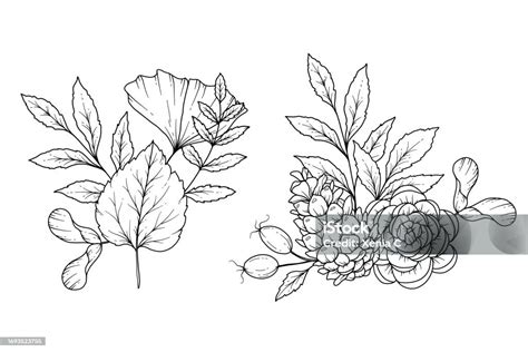 가을 꽃꽂이 윤곽선 가을 단풍 라인 아트 일러스트레이션 윤곽선 나뭇잎 배열 손으로 그린 그림 나뭇잎이 있는 가을 색칠 페이지 추수 감사절 준비 흰색으로 분리된 추수감사절