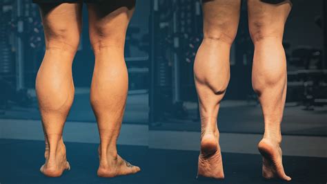 This Is Why You Have Small Calves According To Science And What To Do