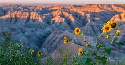 Strategies For Managing Procrastination Procrastination Coach