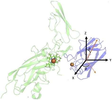 Figure A3 The Snapshot Structure Of Pccyt F Complex At The Distance