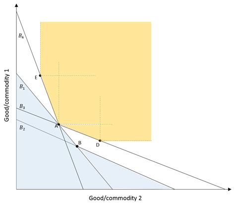 Revealed Preference Theory Consumer Behaviour