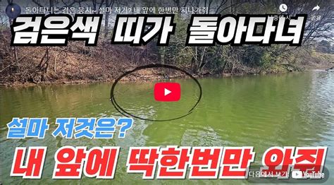 돌아다니는 검은 뭉치~ 설마 저거 내 앞에 한번만 지나가줘