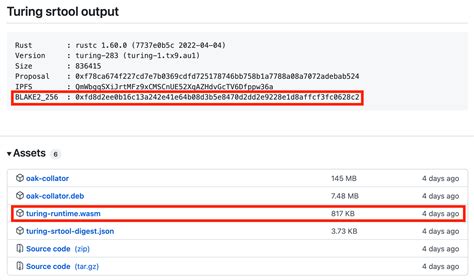 Verify Runtime Of Upgrade Ava Protocol Docs
