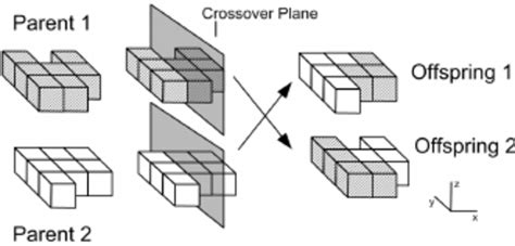 A Crossover Operation Between Two ANT Parents Compatible Cells Are Download Scientific