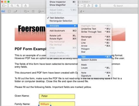 Ways To Change Font Size In PDF Fillable Form