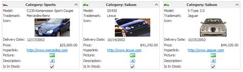 Winforms Grid Control New Tile View Now Available In V142