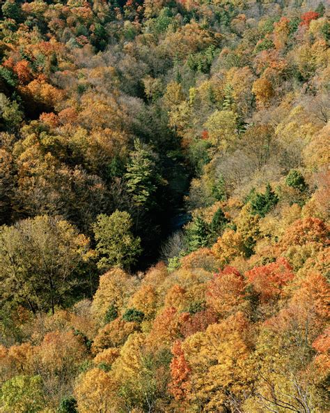 Robert Canali — Plain Brown Wrapper