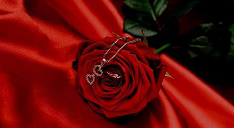 로맨스 빨간 장미 꽃과 금색 하트 펜 던 트 목걸이 휴일 발렌타인 데이 로맨스 Hd 배경 화면 Wallpaperbetter