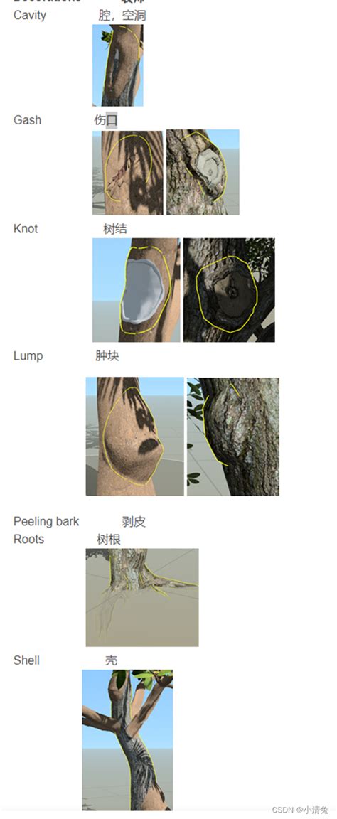 Speedtree学习笔记speedtree9怎么显示视图 Csdn博客