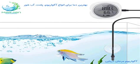 دمای آکواریوم در تابستان و زمستان مناسب پلنت و آب شور - آکواریوم مرجان ...