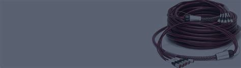 Cssom Caminhar Sobre O Som Lda