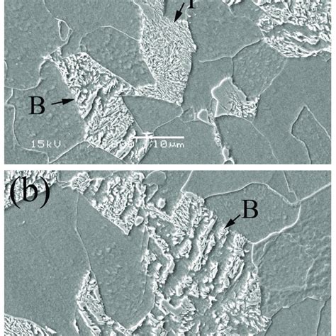Different Microstructures In N2 Hr Steel At High Magnification Sem Download Scientific Diagram