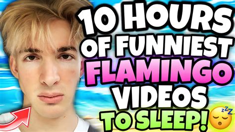 🌟10 Hours🌟 Of Flamingo Roblox Funniest Videos Flamingo Marathon