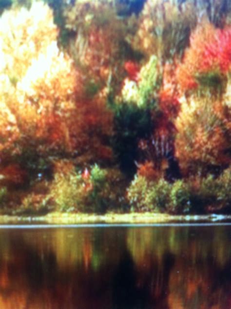 Elevation Of Richmond Va Usa Topographic Map Altitude Map