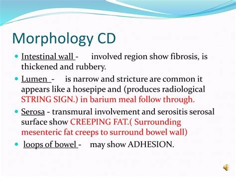 Ibd Ulcerative Colitis And Crohns Disease Pptx