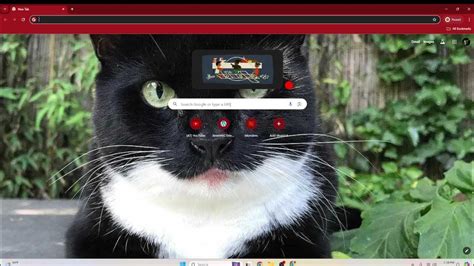 How To Get Iis Stupid Mod Menu For Gtag Bad Outro Youtube