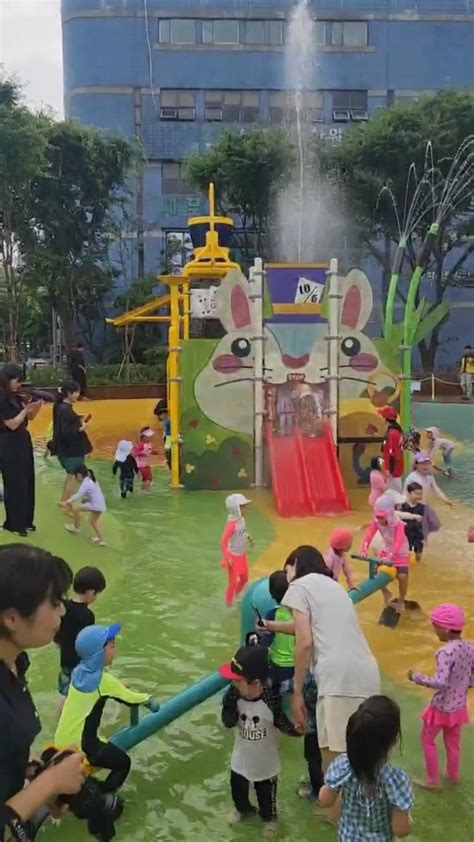 디자인파크 임세진