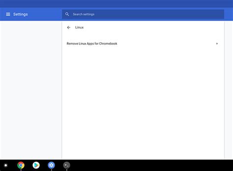 Testing The Linux Virtual Machine On Chrome OS EDN Asia