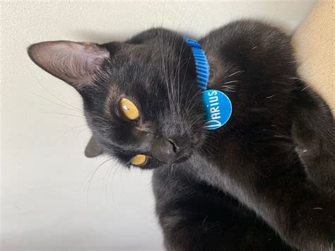 Shared Template Matriz Csd 4 Figma