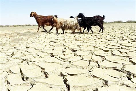 Afghanistan Exposed To Worst Drought In 30 Years Ocha Tolonews