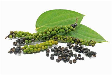 Black Pepper Marmik Farm