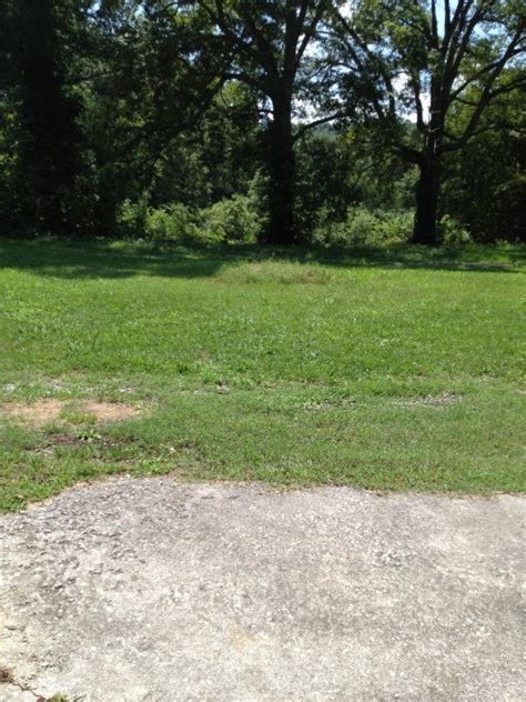 1051 Lowery Loop Rd New Market Tn 37820 ®