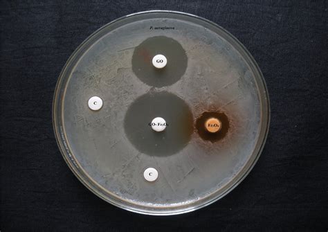 Antibacterial Activity By Disc Diffusion Method Against P Aeruginosa