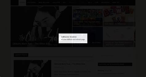 Detection · Issue 14545 · Ublockoriginuassets · Github