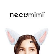 네코미미 네코미미 뇌파 헤드셋 움직이는 고양이 귀 감성놀이 거짓말탐지기 게임 새상품 위시버킷