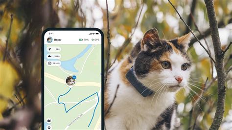 GPS Cat Tracker Cat Collar With Activity Monitoring Tractive