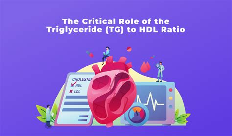 Understanding Triglyceride To Hdl Ratios For Optimal Heart Health Peak Metabolism
