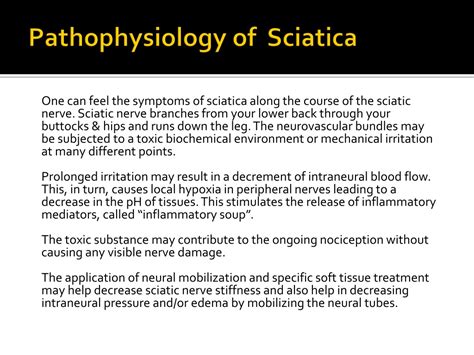 Ppt Sciatica Powerpoint Presentation Free Download Id 11048595
