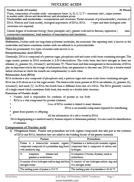 Nucleic Acids Types Components Of Nucleic Acids Pdfppt Download Now