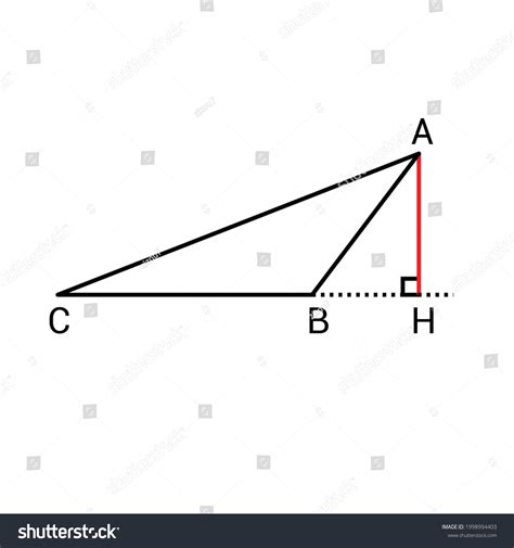 Altitude Triangle Geometry Stock Vector Royalty Free 1998994403 Shutterstock