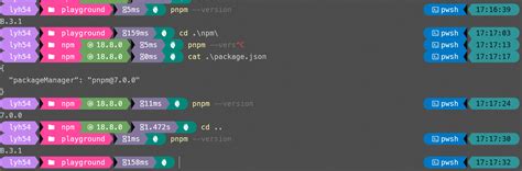 2023 年了，该尝试用 Corepack 安装 Pnpm 了 小灰灰灰灰的博客