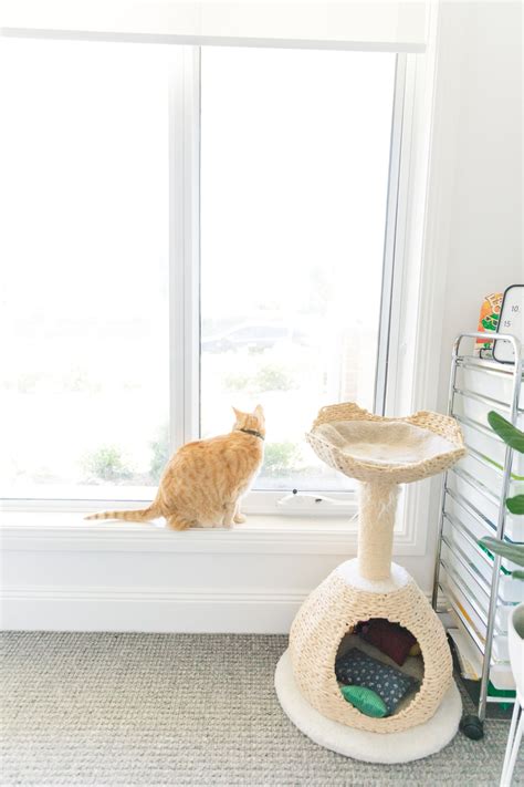 Client Testimonials — The Empowered Learner