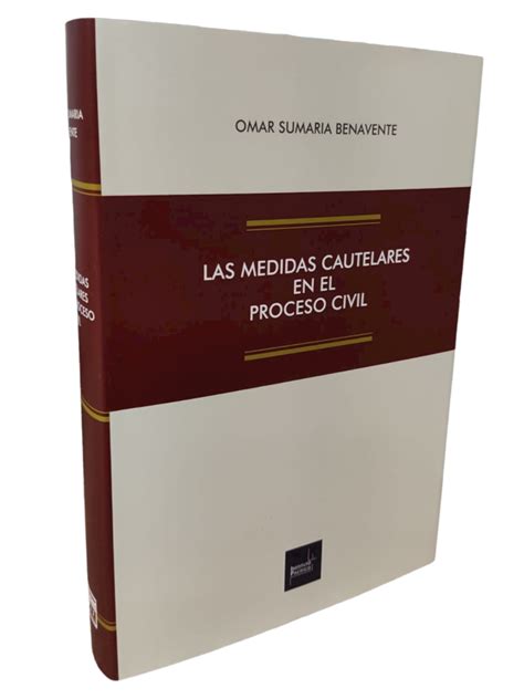 Las Medidas Cautelares En El Proceso Civil
