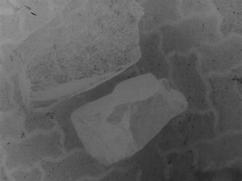 Fondef Id Camera Termica Yolo Object Detection Dataset By Usach