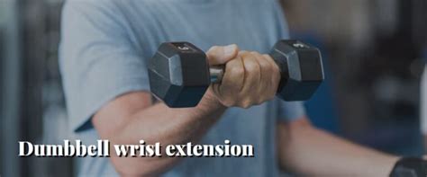 The 10 Best Exercises And Workouts For Your Forearms Visiting Australia