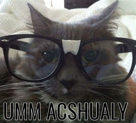 Cute And Funny Cat Meme For Nerd Enthusiasts