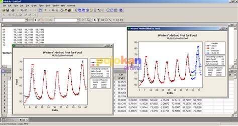 Tutorial Triple Exponential Smoothing Winter Dan Forecasting Blog Kibe