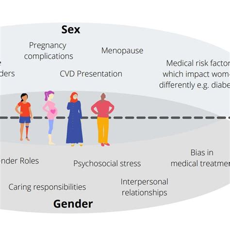 Examples Of The Contribution Of Both Sex And Gender Across The Life Download Scientific Diagram