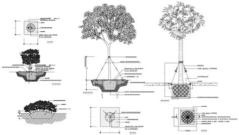 Garden Tree Shelving And Landscaping Structure Cad Drawing Details Dwg File