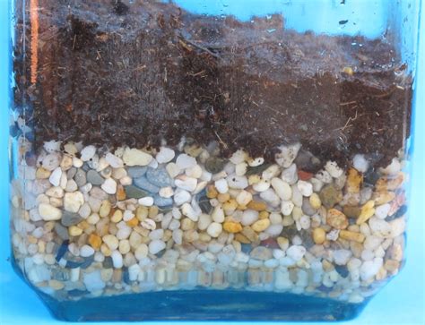 Old Writer On The Block A Garden In A Bottle Part 1
