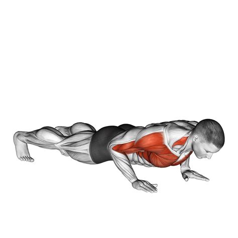 4 Best Alternatives To Push Ups With Pictures Inspire Us